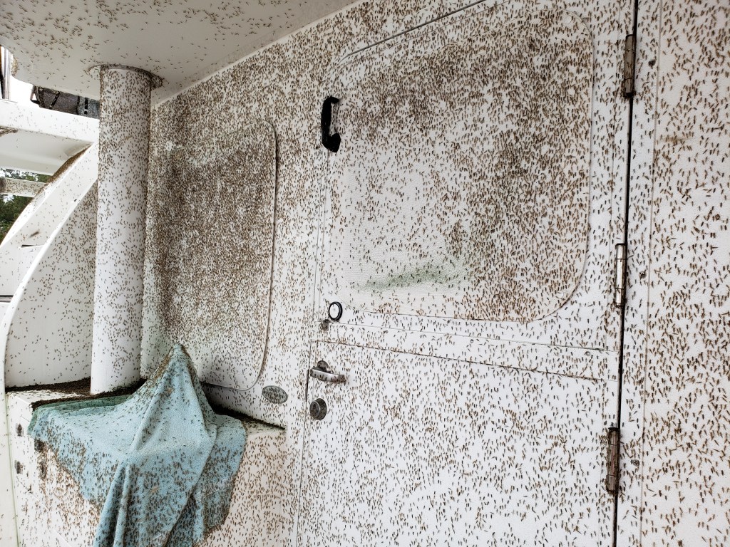 The Intracoastal Waterway – The Adventures of Little Fish