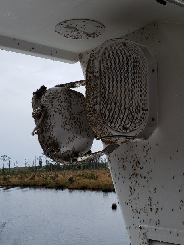 The Intracoastal Waterway – The Adventures of Little Fish